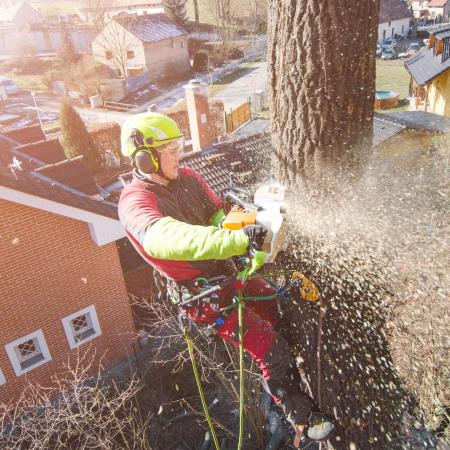 10 Leading Arborist And Tree Surgeons in Coventry, Midlands - 2025 ...