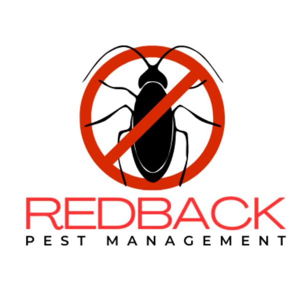 Redback Pest Management Townsville - Kelso, QLD - 0419 335 807 ...